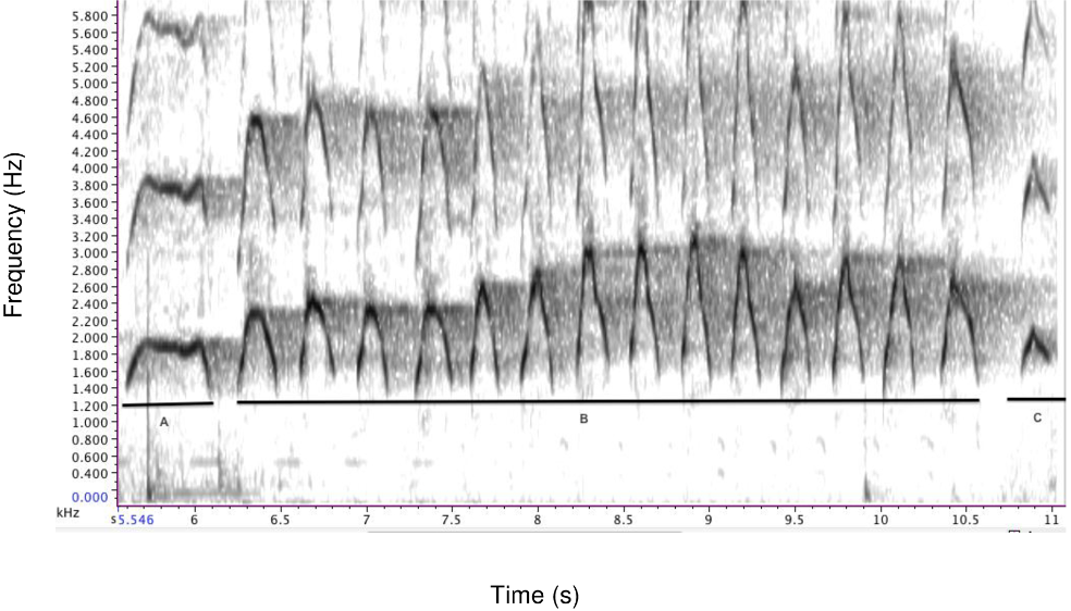 Ape signals description - GApS